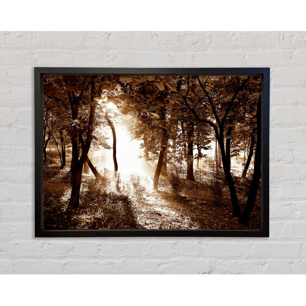Union Rustic Cocoa Sunbeam Forest - Einzelner Bilderrahmen Kunstdrucke auf Leinwand | Wayfair.de
